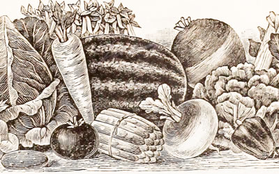 Wolf Peaches, Poisoned Peas, and Madame Pompadour’s Underwear: The ...